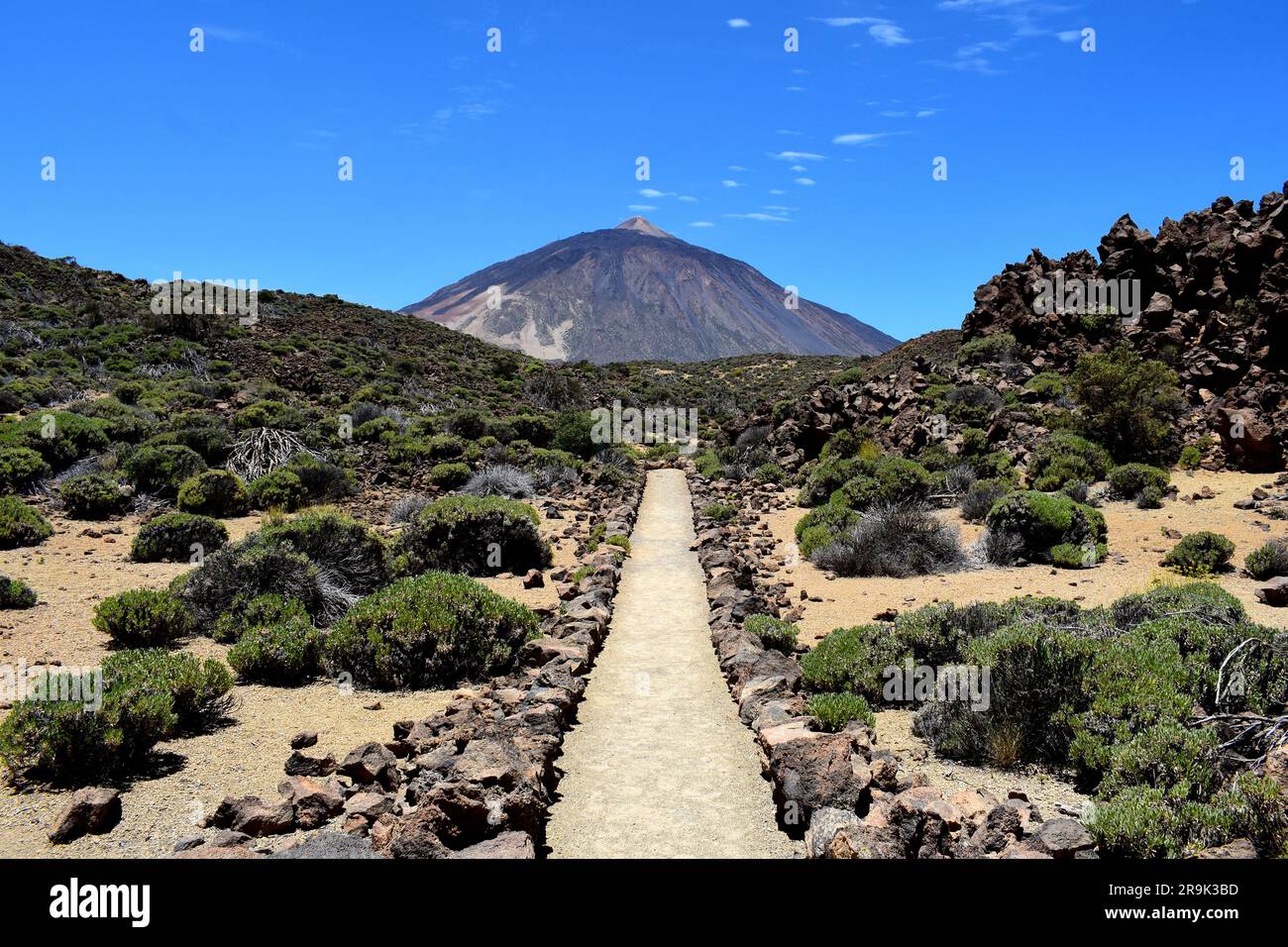 Hiking trail through volcanic landscape towards Mount Teide, Teide ...