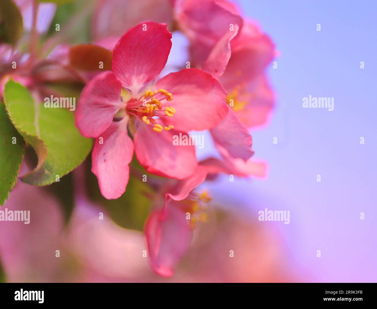 I am so glad Spring is here. It brings new life and new beginnings into ...