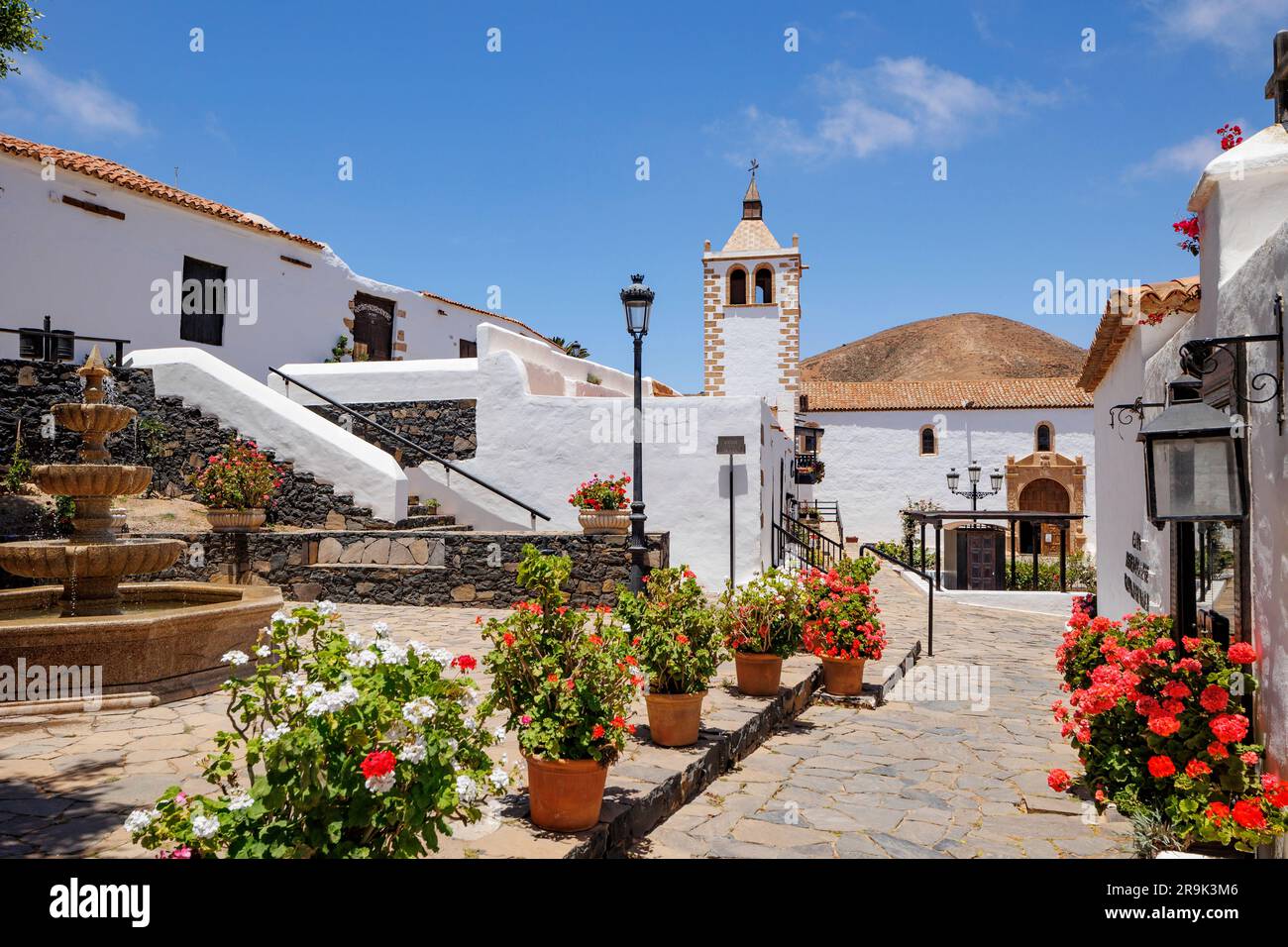 Colourful flowers and street scene at Cathedral of Santa Maria ...