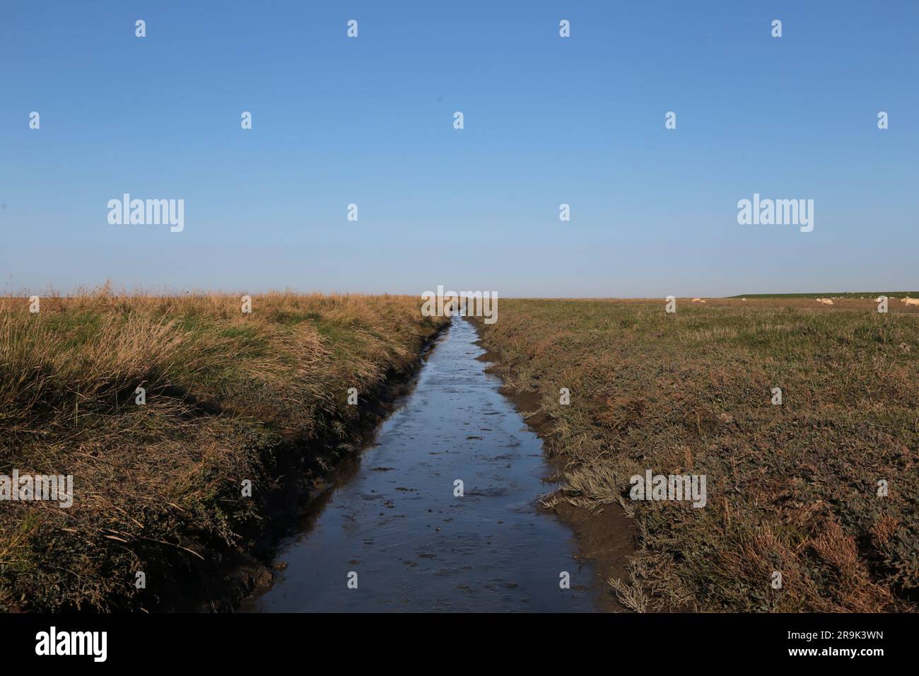 Drainage ditch on the North Sea, Germany in autumn Stock Photo - Alamy