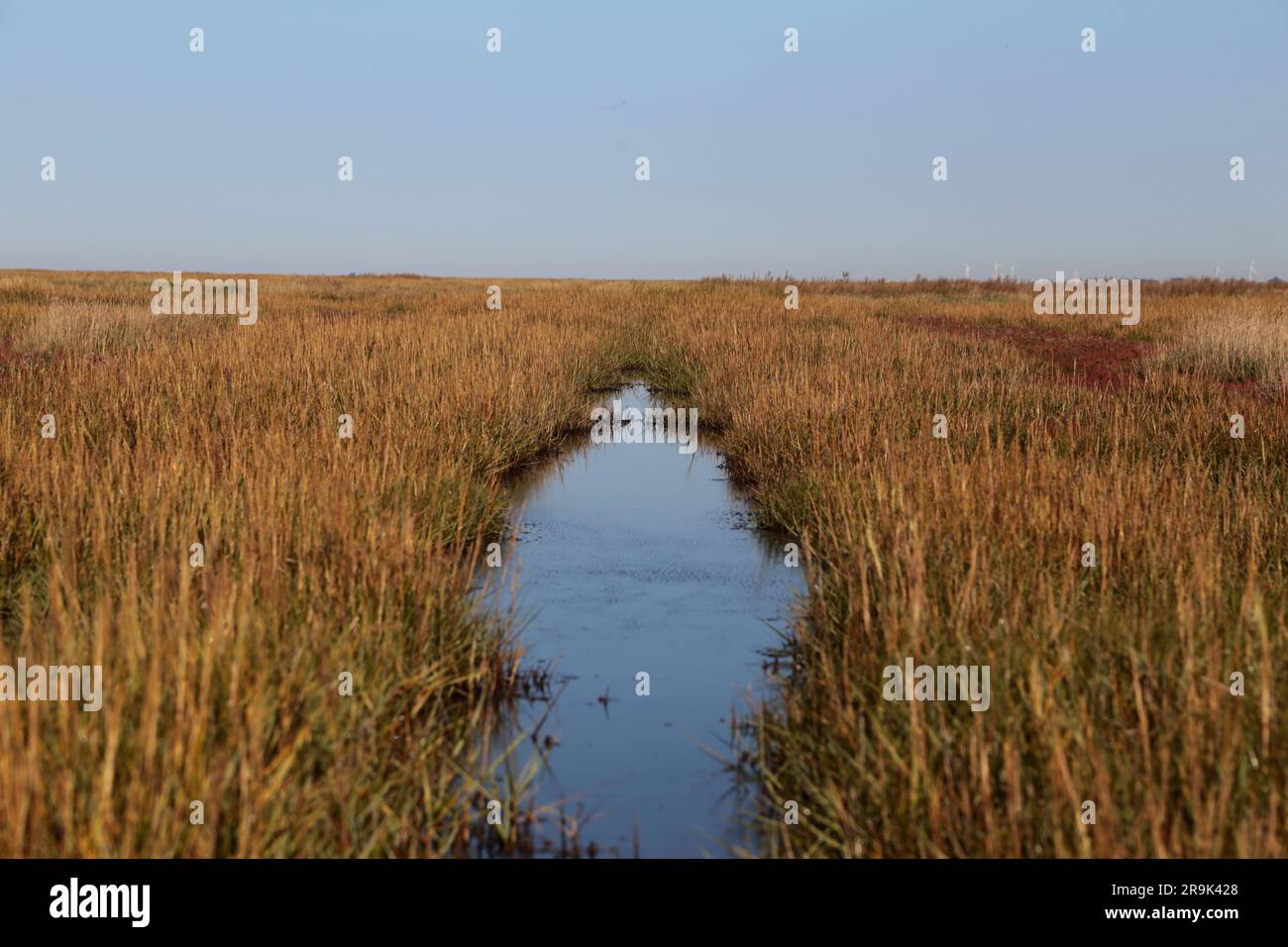 Drainage ditch on the North Sea, Germany in autumn Stock Photo - Alamy