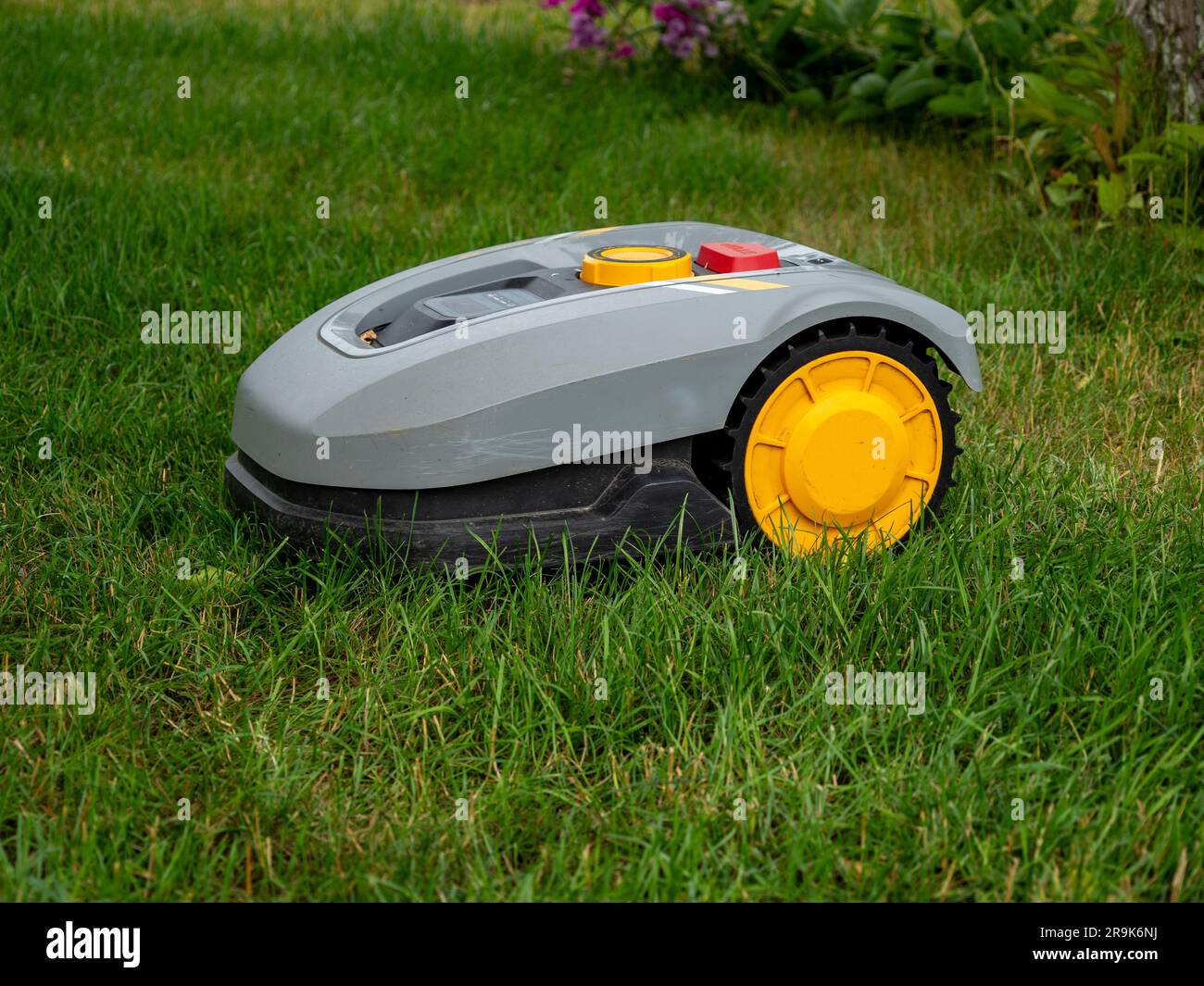 Robot lawnmower mows the lawn. Robot lawn mower close-up Stock Photo ...