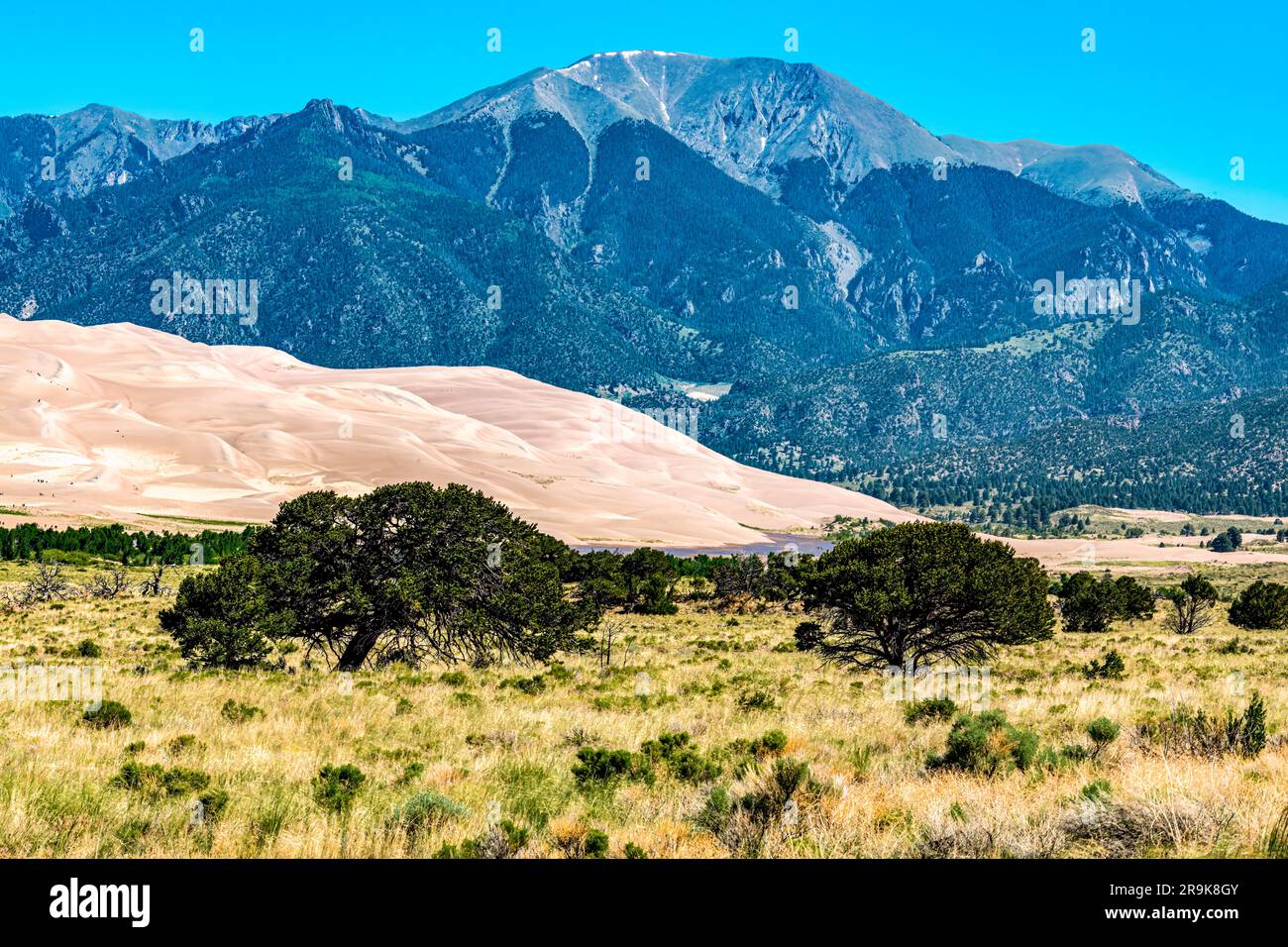 Great Sand Dunes in the Morning Light Against the Sangre De Cristo ...