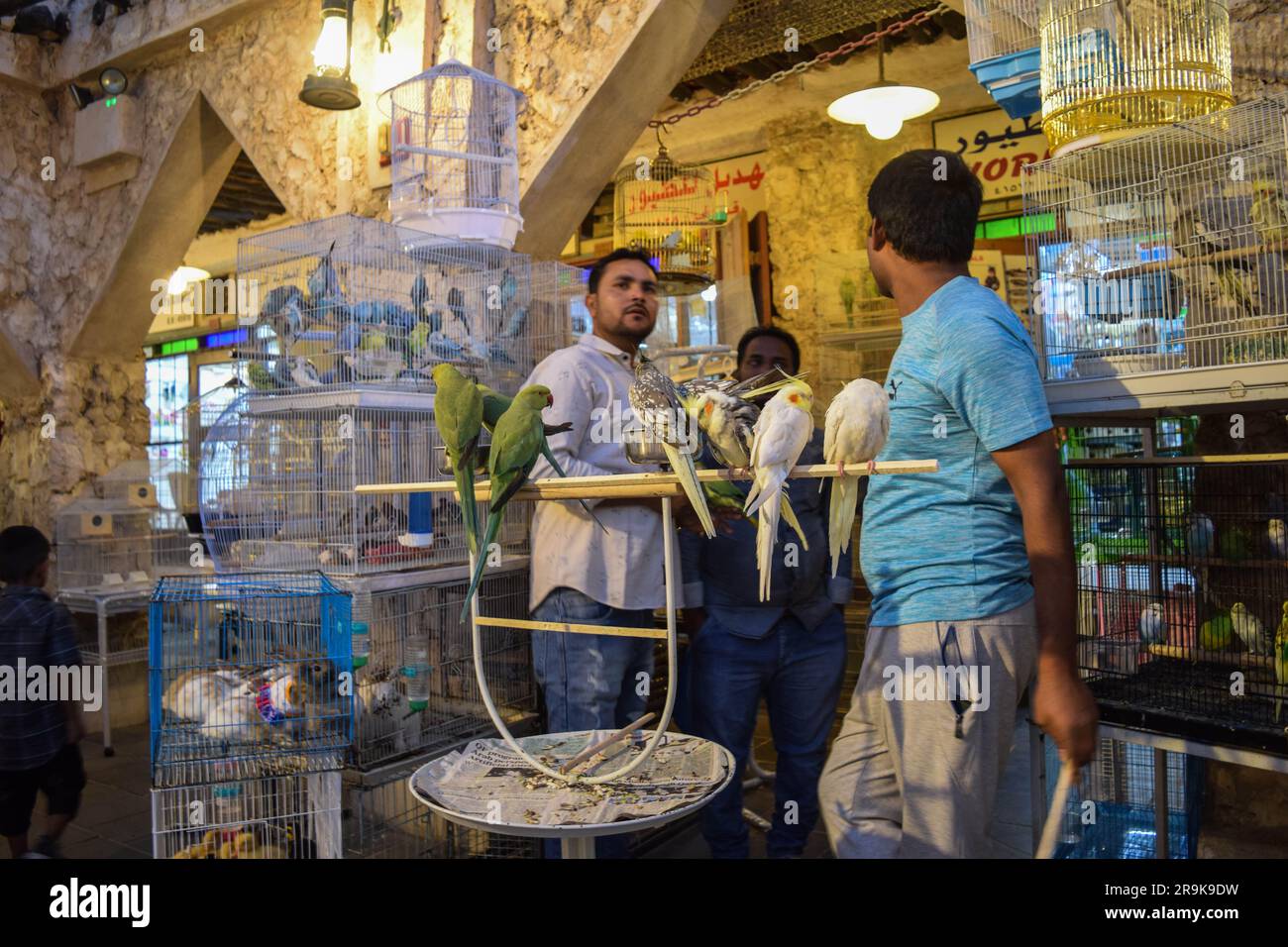 Live bird markets hi-res stock photography and images - Alamy