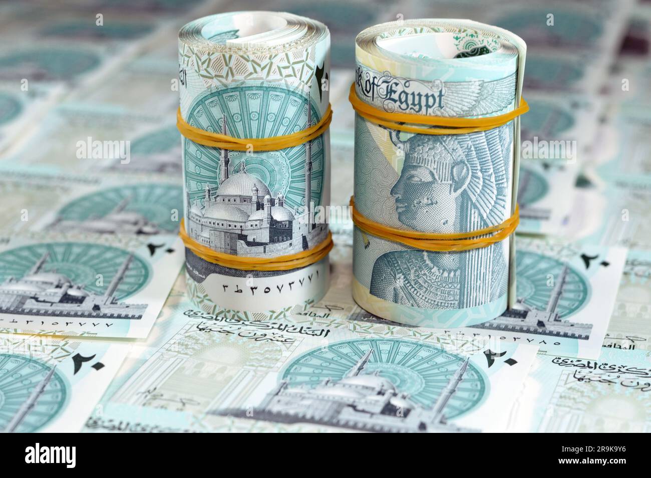 new Egyptian 20 EGP LE twenty polymer pounds cash money banknote bill ...