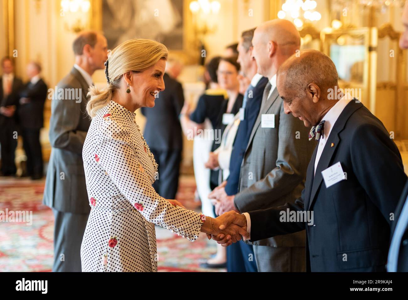 The Countess of Wessex during a reception for recipients of The King's ...