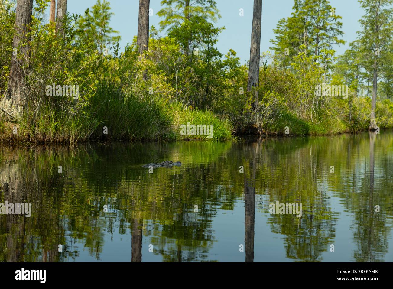 South alligator river system hi-res stock photography and images - Alamy