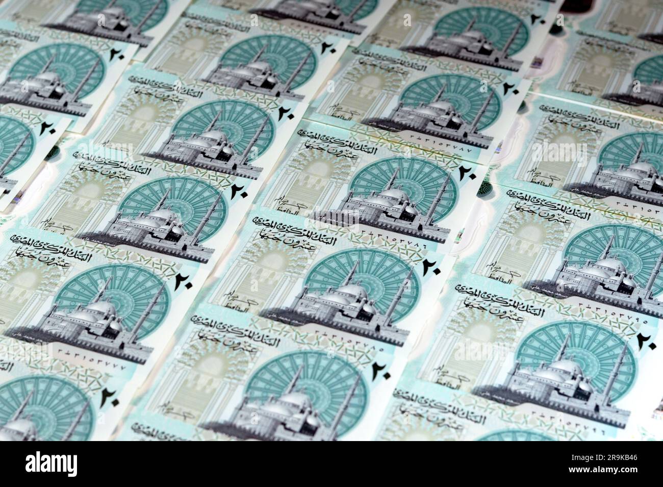 new Egyptian 20 EGP LE twenty polymer pounds cash money banknote bill ...