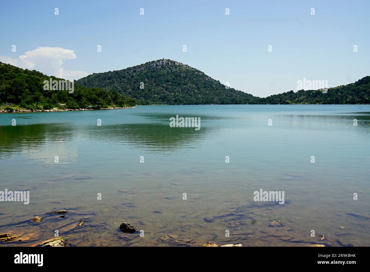 coastal labdscape in dalmatia in croatia Stock Photo - Alamy