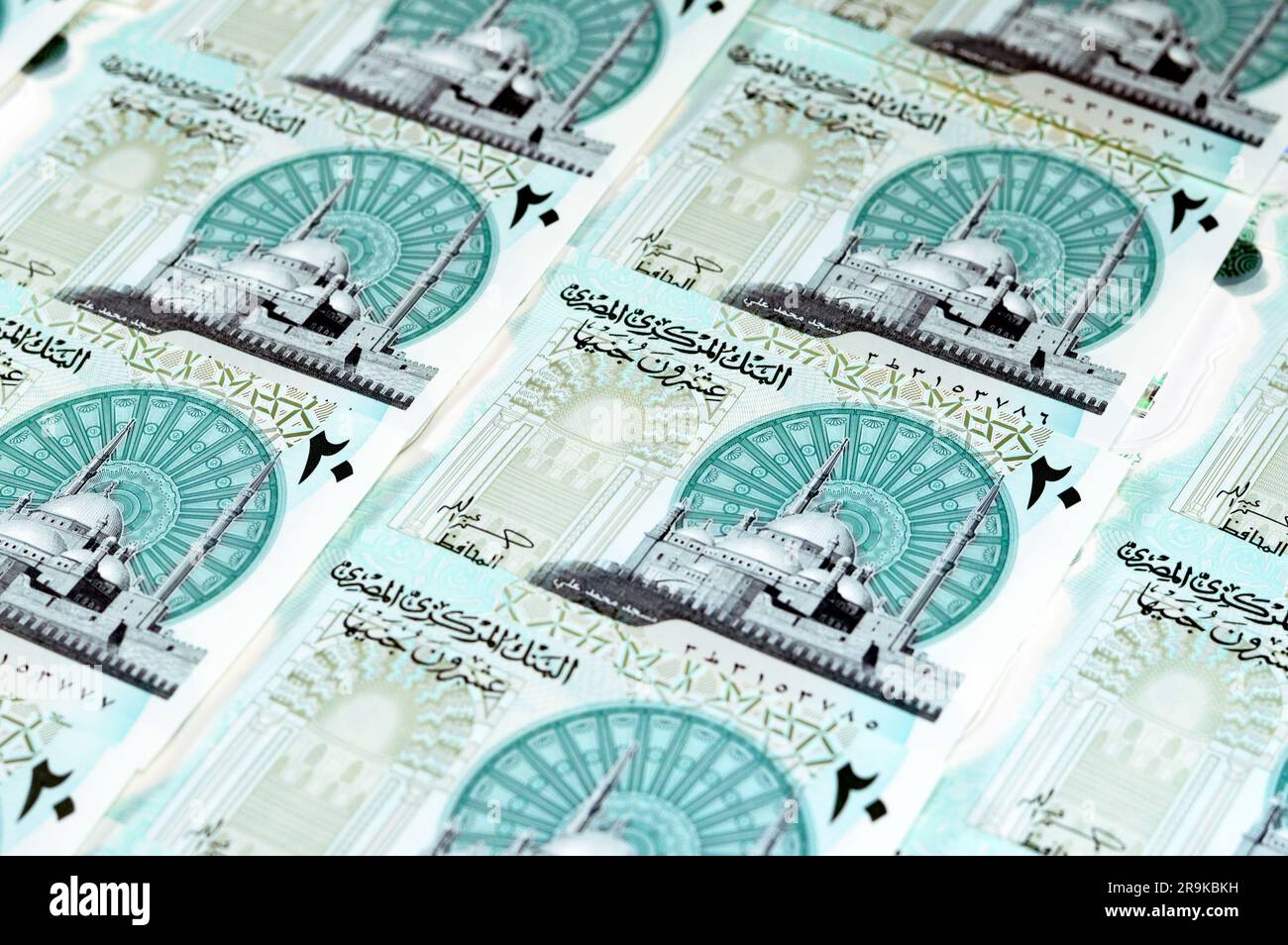 new Egyptian 20 EGP LE twenty polymer pounds cash money banknote bill ...