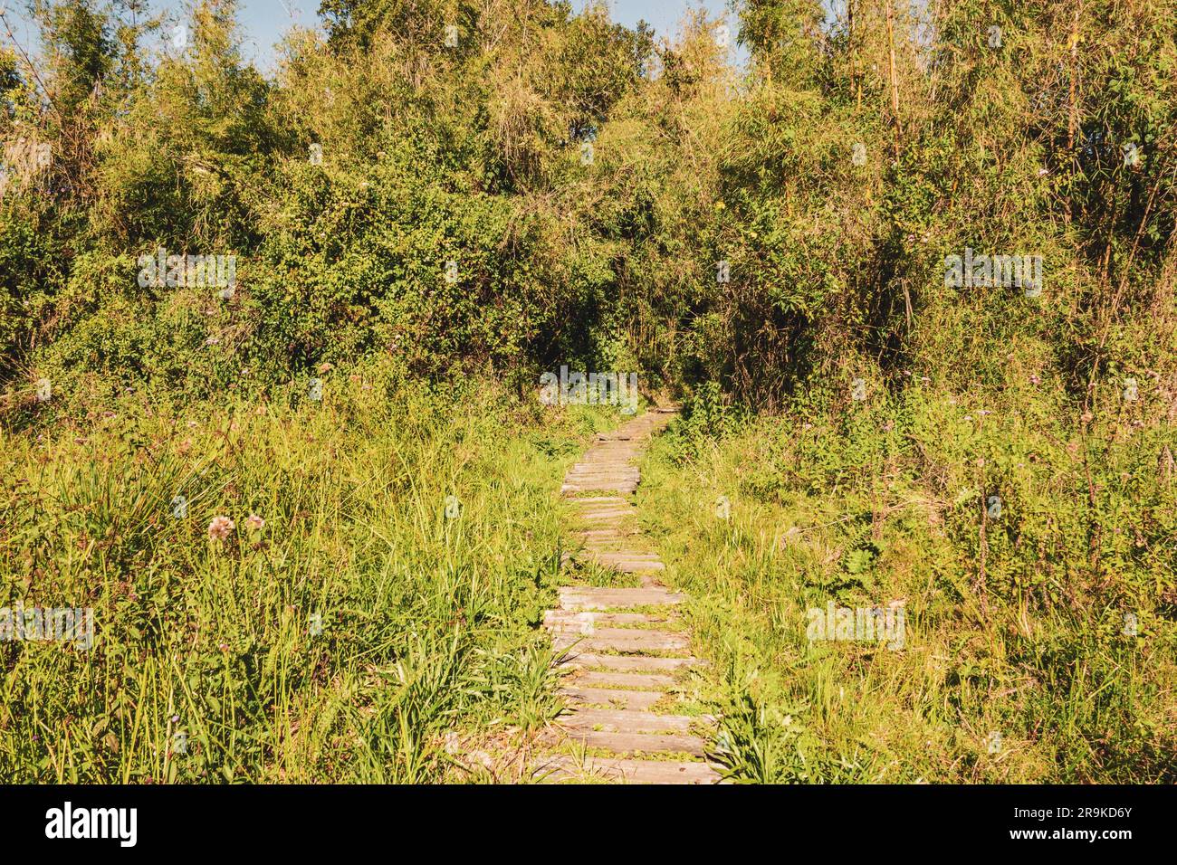 Empty hiking trail hi-res stock photography and images - Alamy