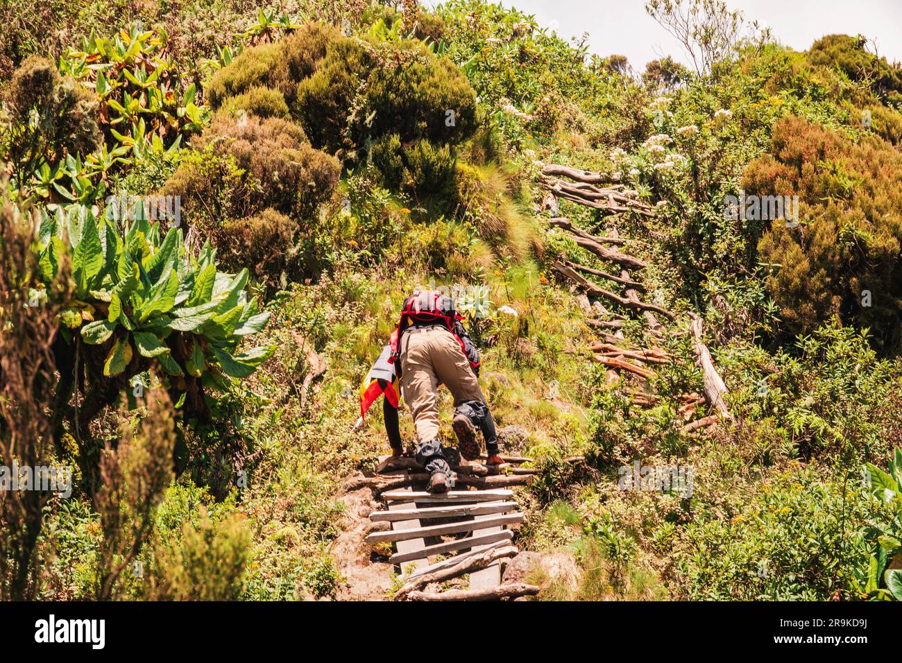 Virunga volcano view hi-res stock photography and images - Alamy