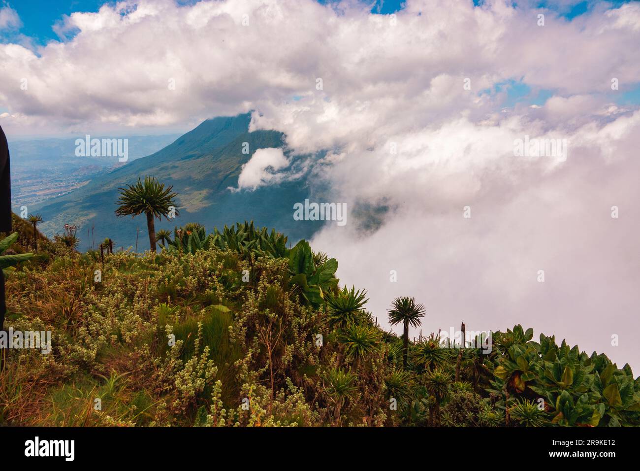 Scenic view of Mount Gahinga and Mount Muhabura seen from Mount ...
