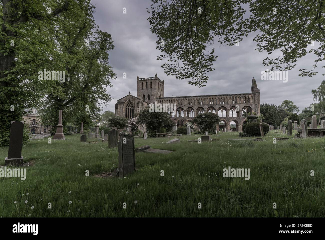 Jedburgh Abbey in the scottish borders Stock Photo - Alamy