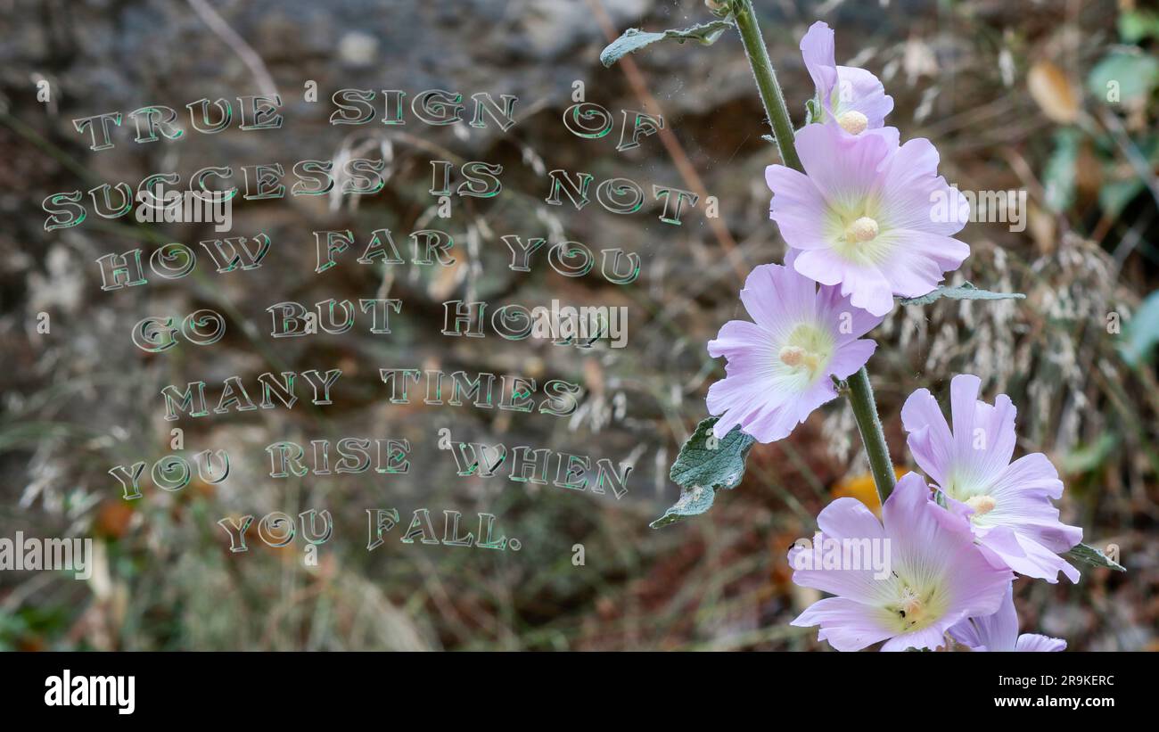True sign of success is not how far you go but how many times you rise ...