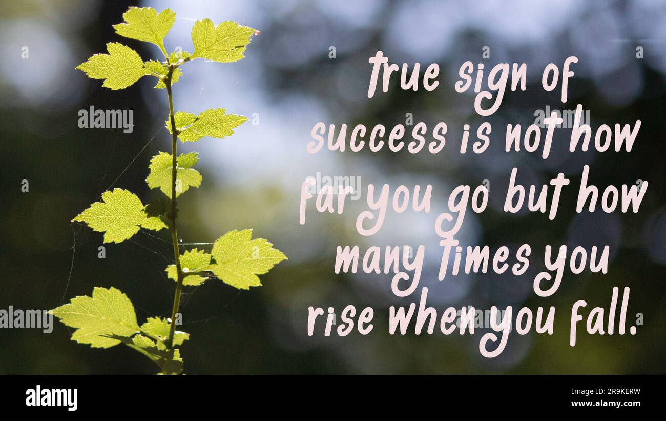 True sign of success is not how far you go but how many times you rise ...