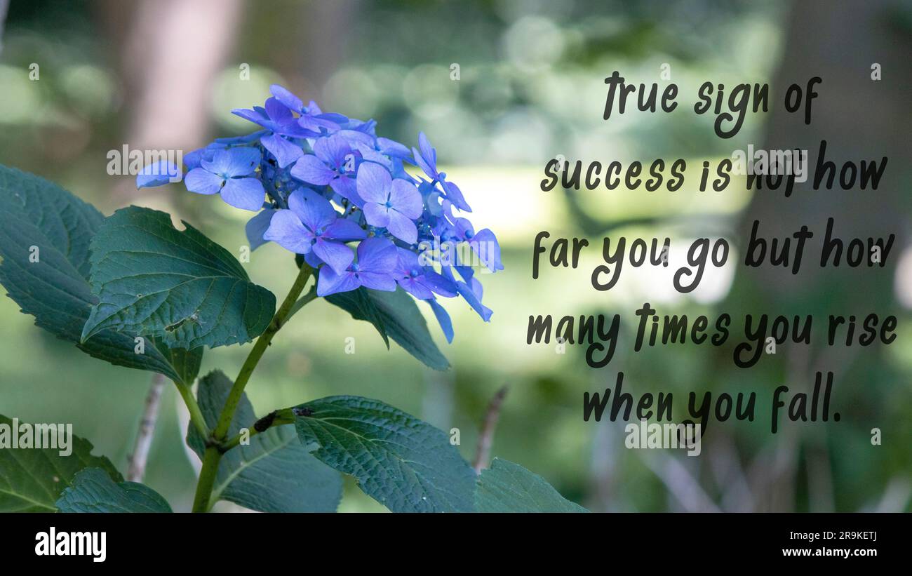 True sign of success is not how far you go but how many times you rise ...