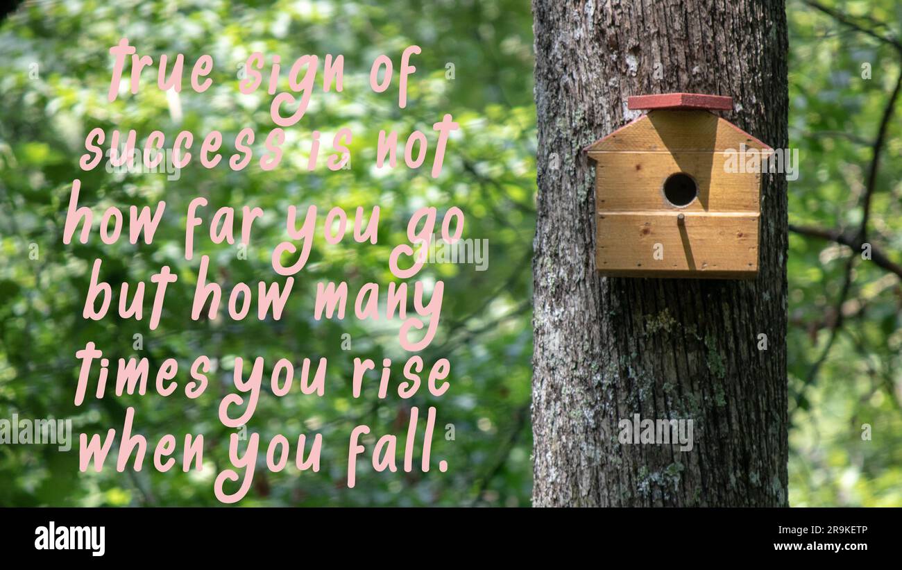 True sign of success is not how far you go but how many times you rise ...