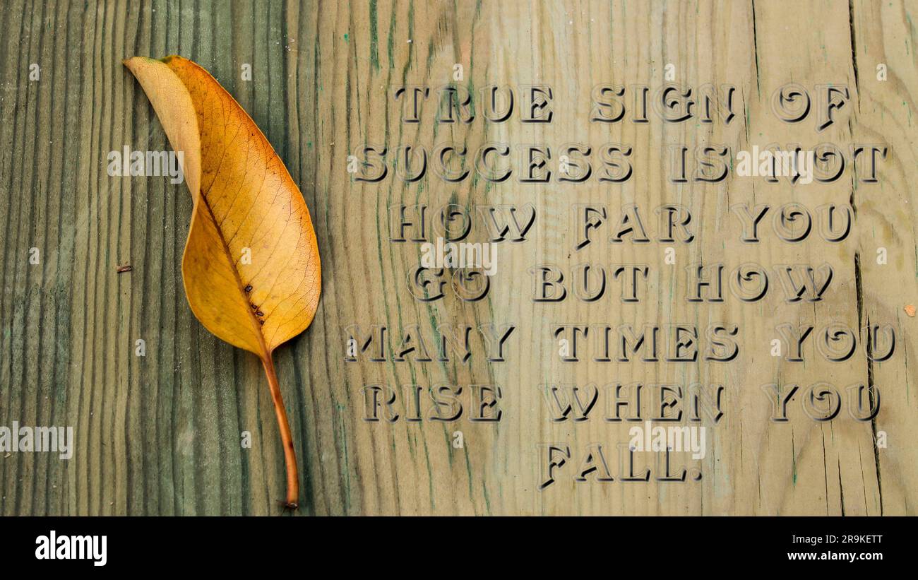 True sign of success is not how far you go but how many times you rise ...