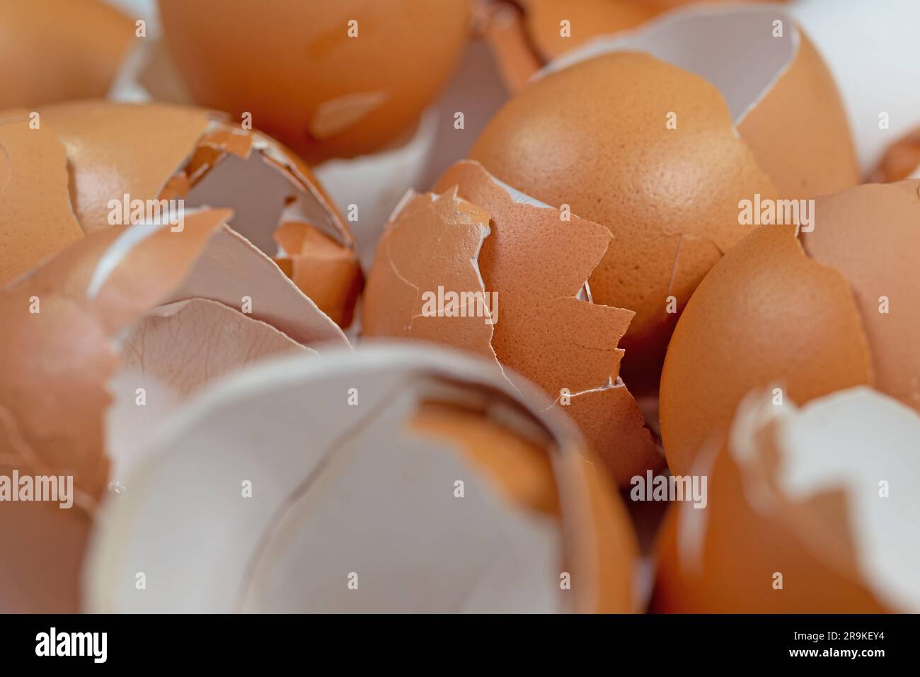 Egg shells in a closeup Stock Photo - Alamy