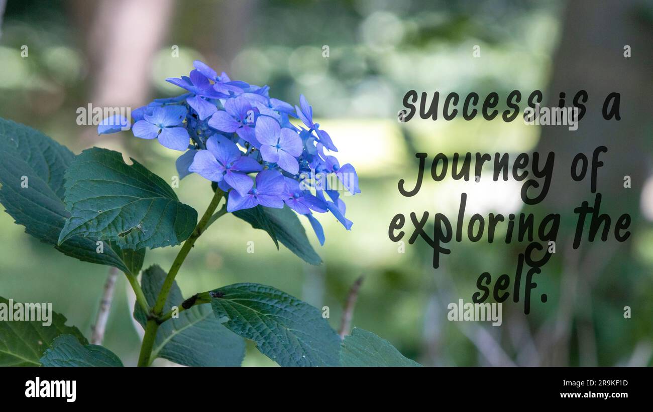 Success is a journey of exploring the self. success slogans Stock Photo ...