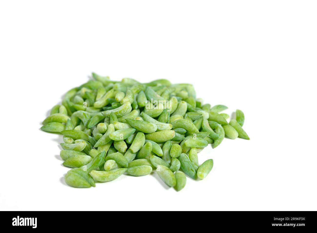 Snake swing Cut Out Stock Images & Pictures - Alamy