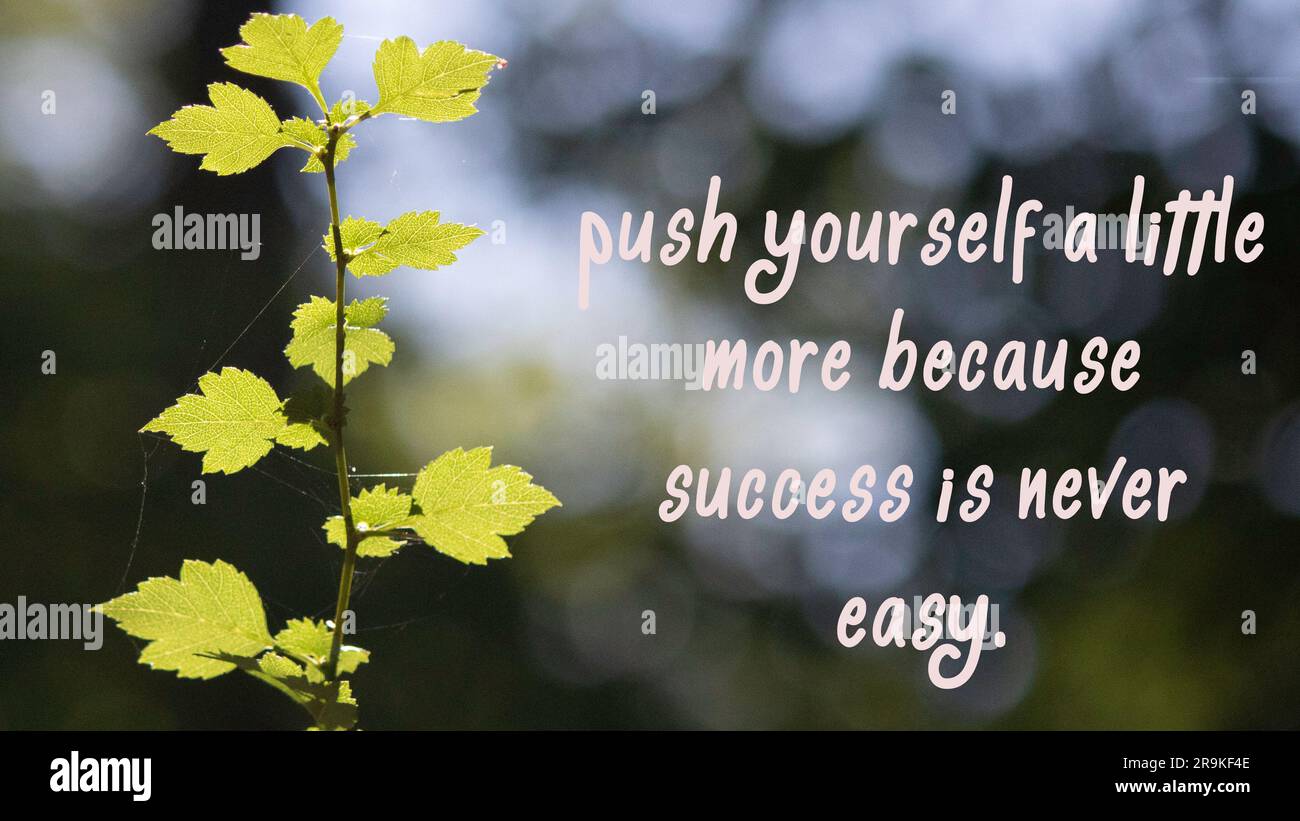 Push yourself a little more because success is never easy. success ...
