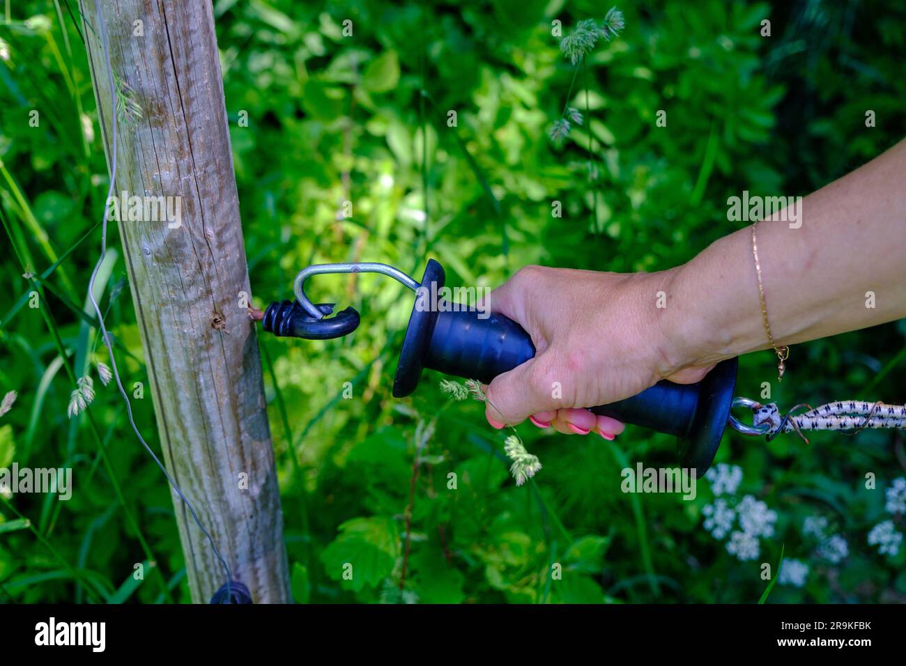 electric fence. A black handle in a woman's hand Stock Photo - Alamy