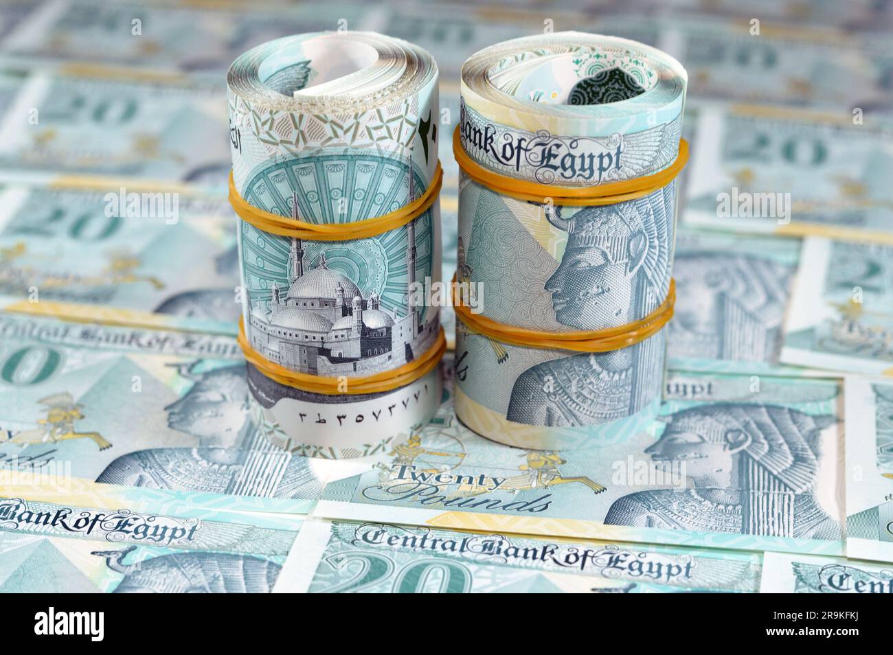 new Egyptian 20 EGP LE twenty polymer pounds cash money banknote bill ...