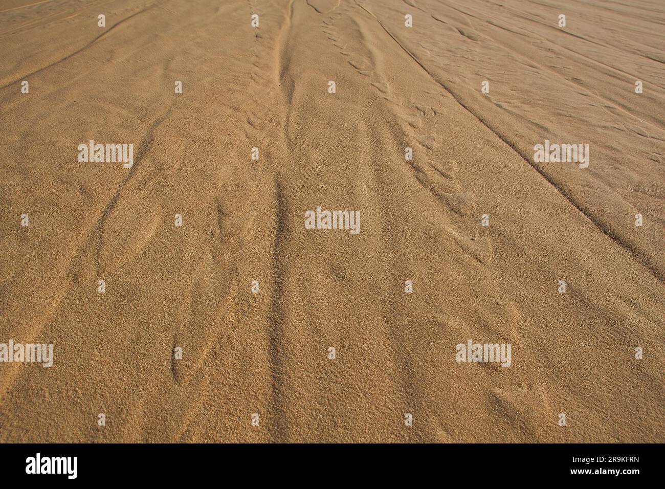 Desert Sand Pattern at Abqaiq Dammam Saudi Arabia Stock Photo - Alamy