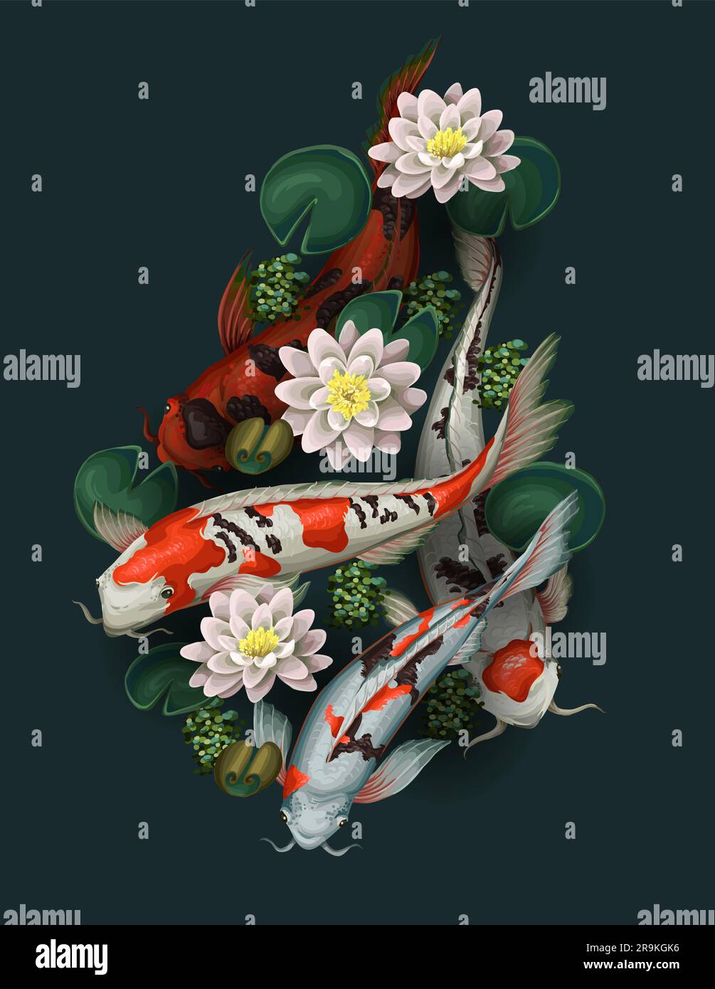 Pink carp Stock Vector Images - Alamy