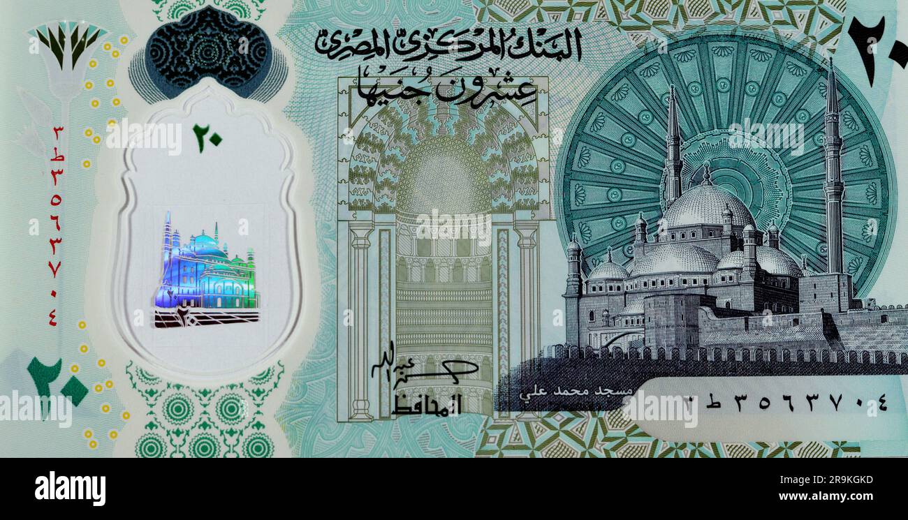 Large fragment of the obverse side of the new Egyptian 20 EGP LE twenty ...