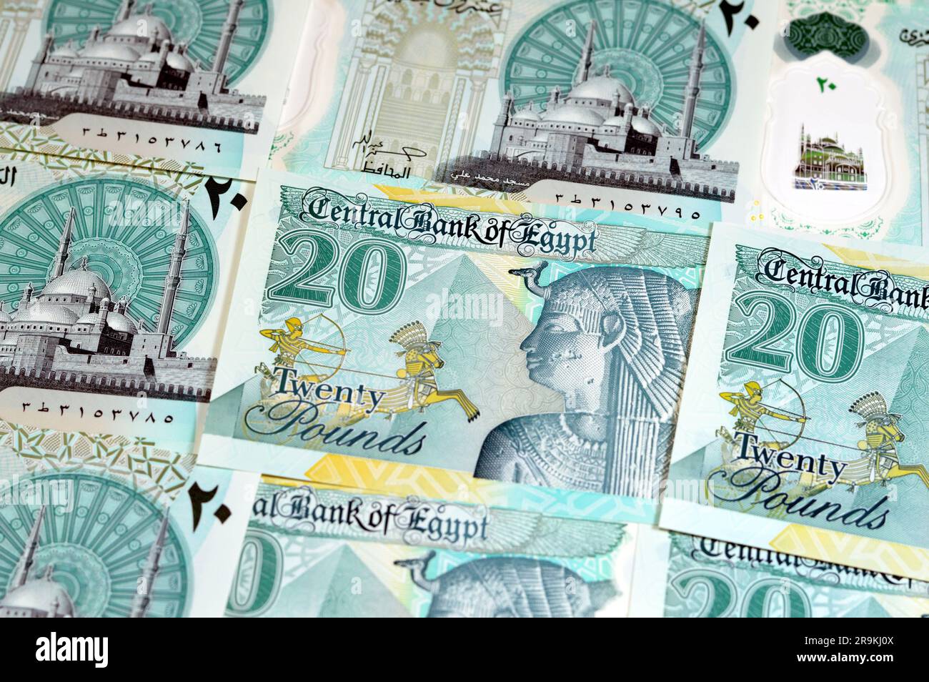 new Egyptian 20 EGP LE twenty polymer pounds cash money banknote bill ...