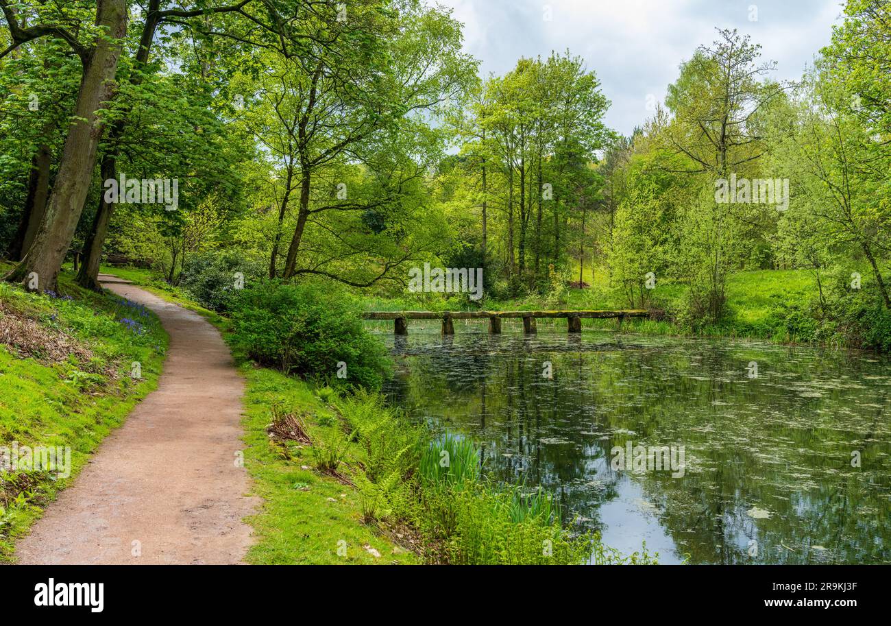Old stone slab granite bridge across a pond or calm lake in English ...