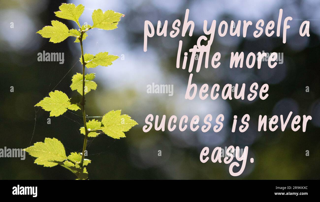 Push yourself a little more because success is never easy. success ...