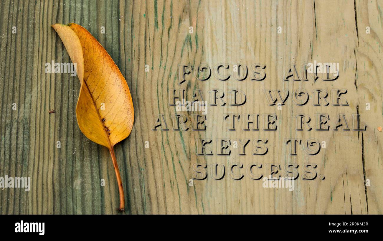 Focus and hard work are the real keys to success. success slogans Stock ...