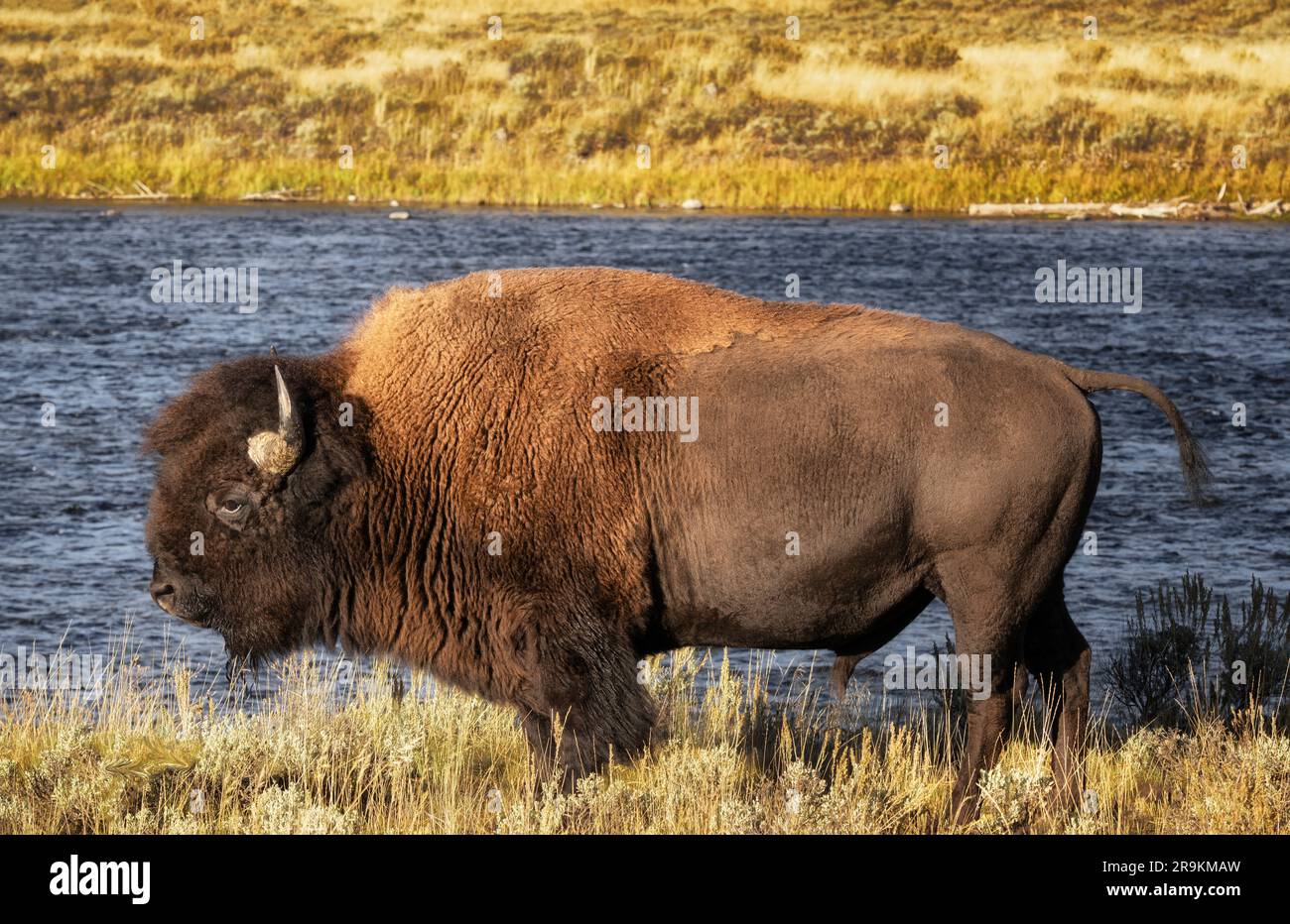 Buffalo national river ark hi-res stock photography and images - Alamy