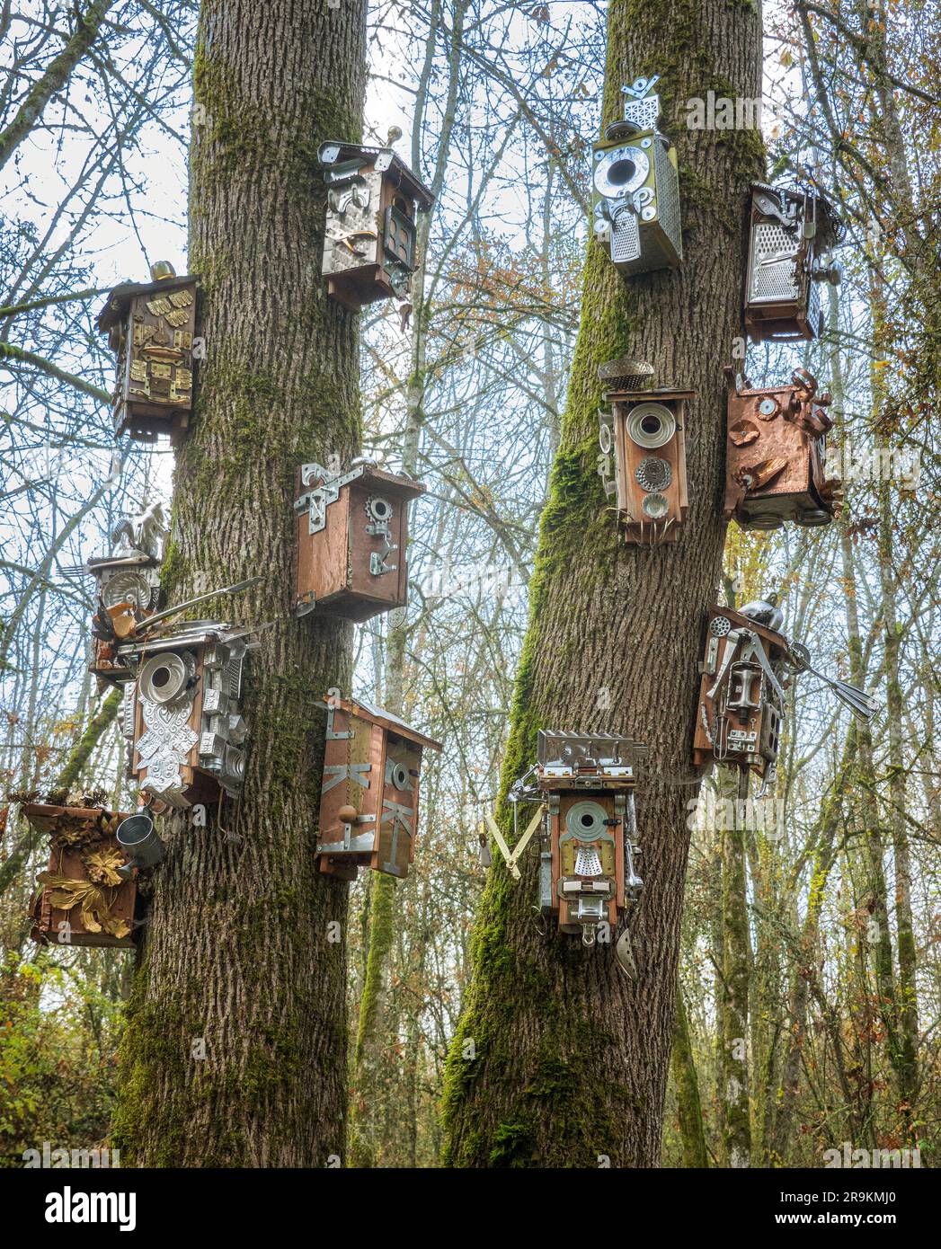 Metal bird houses on oak trees. Oregon Stock Photo - Alamy