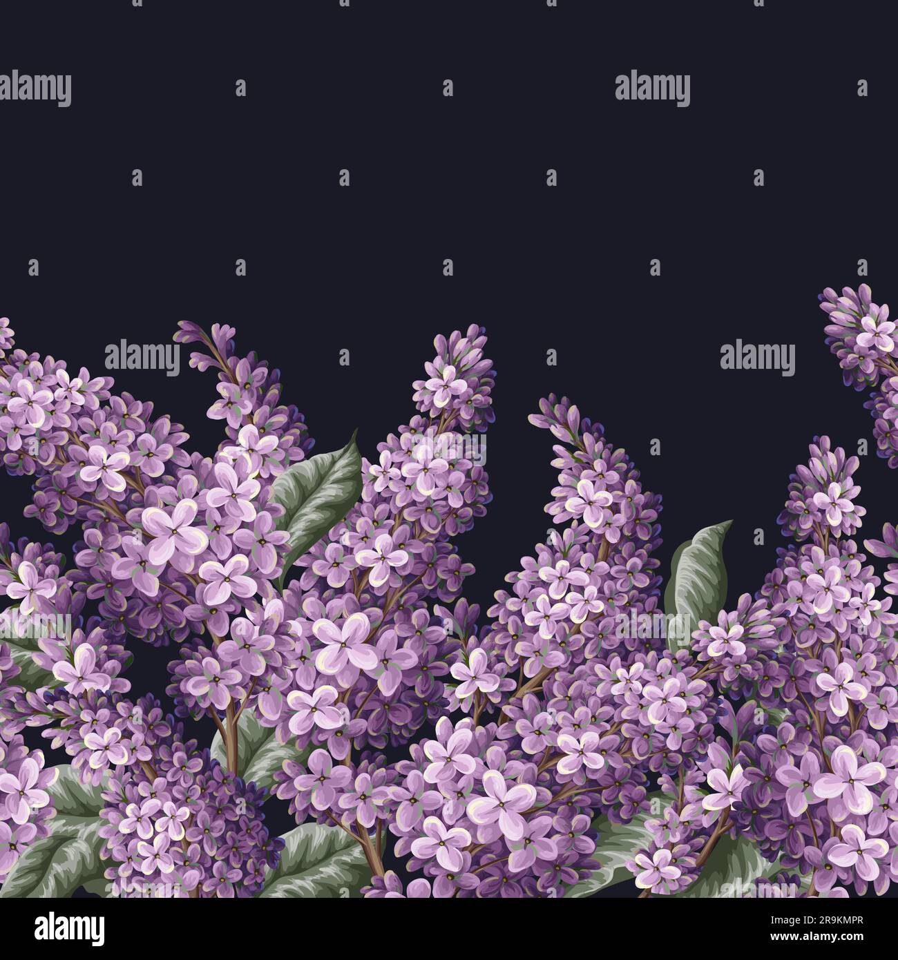 Border with purple lilacs. Vector Stock Vector Image & Art - Alamy
