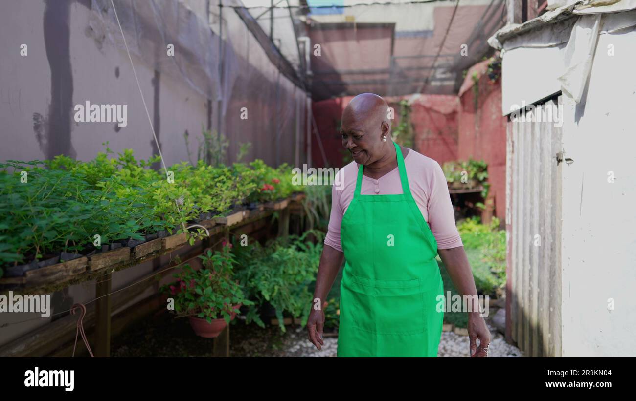 A happy black older bold lady walks through backyard garden wearing ...