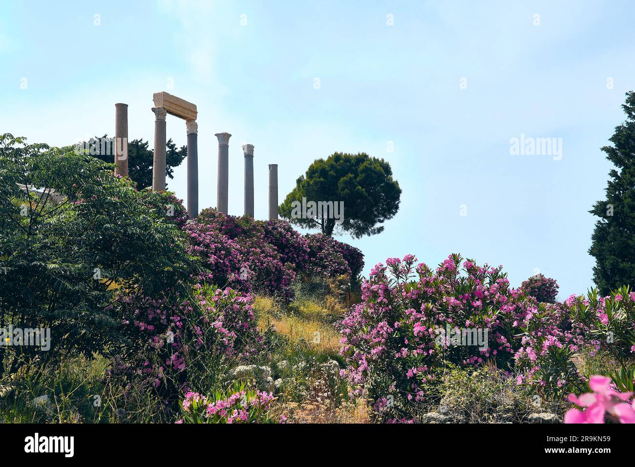 Columns of Temple of Astarte at Byblos Stock Photo - Alamy