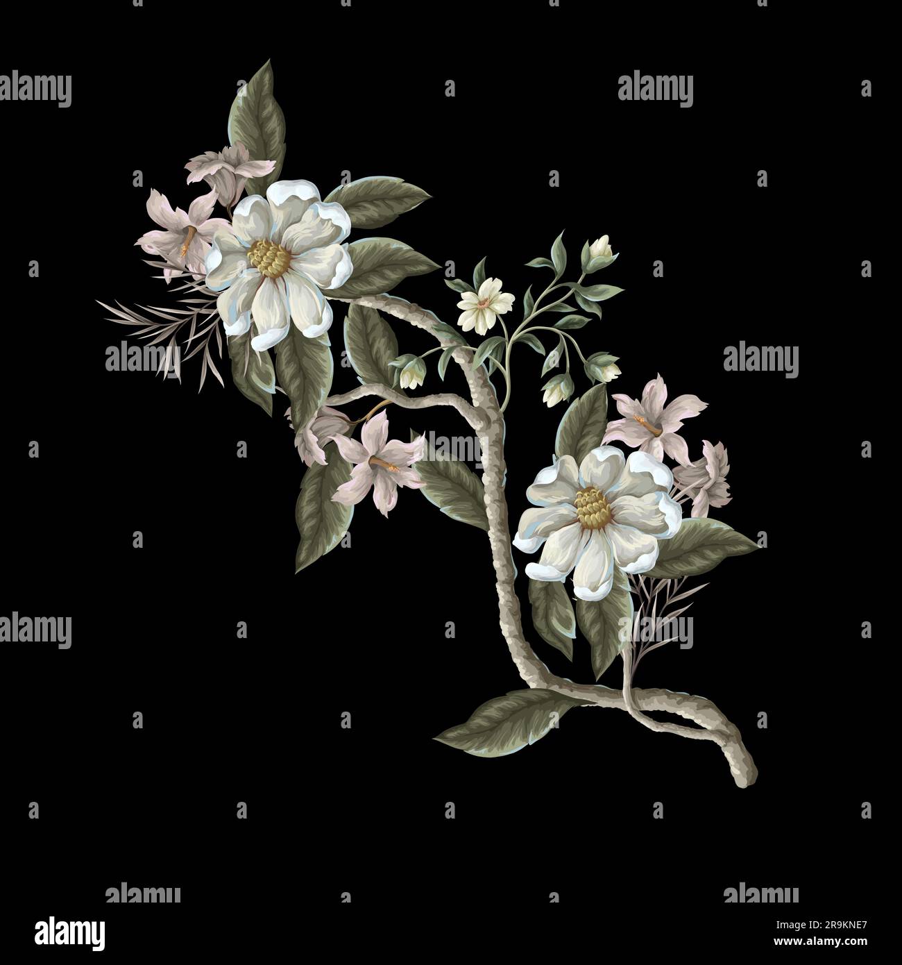 Magnolia branches isolated. Vector Stock Vector Image & Art - Alamy