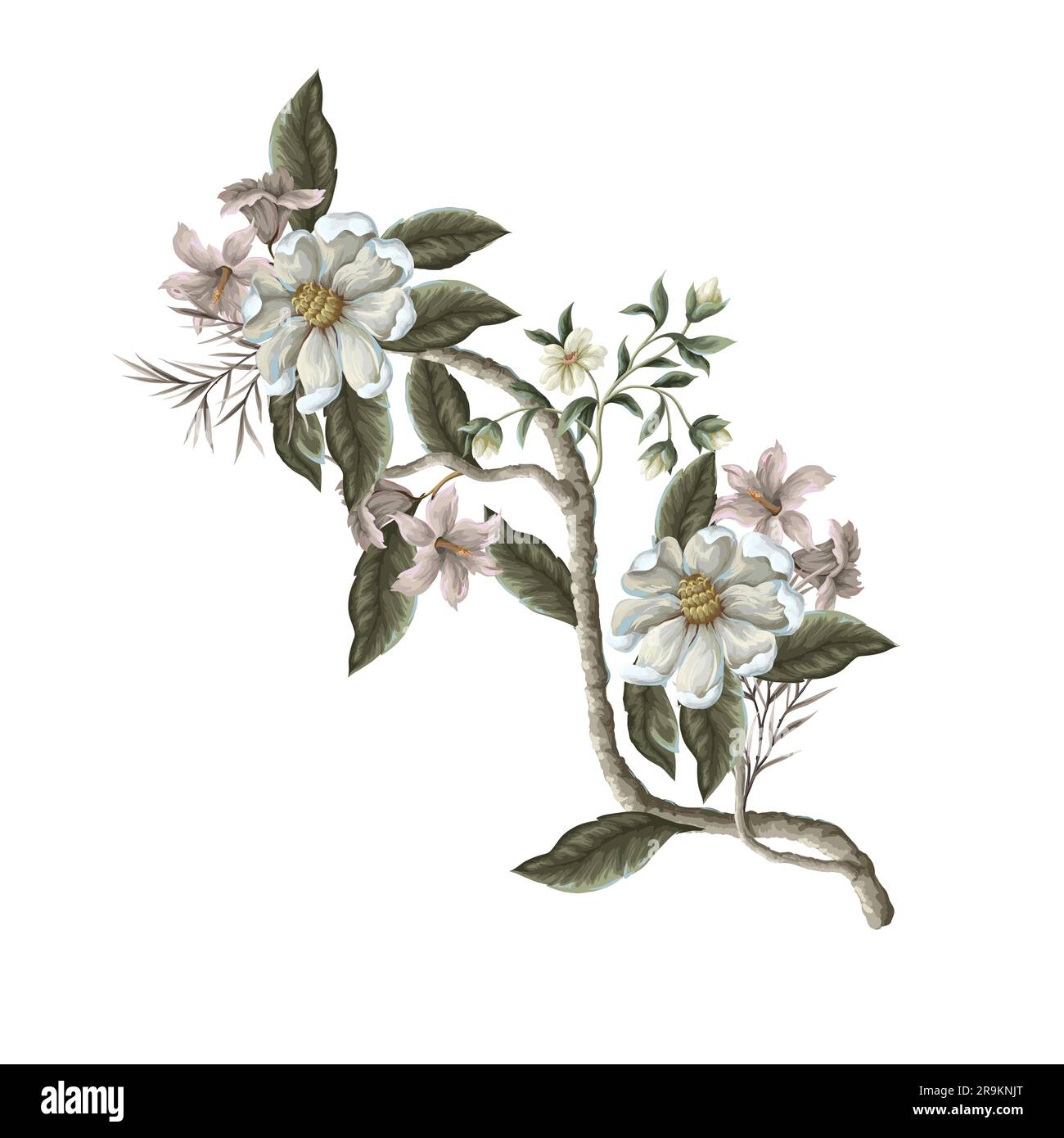 Magnolia branches isolated. Vector Stock Vector Image & Art - Alamy