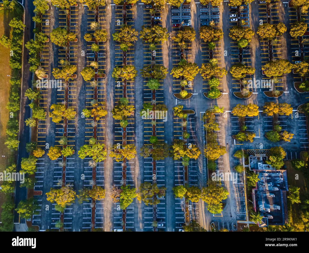 Beautiful aerial footage of the Miami - Orlando - Fort Lauderdale ...