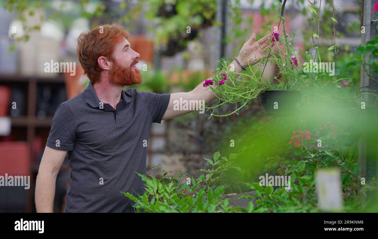 Candid young redheaded man smelling flower at horticulture retail store ...