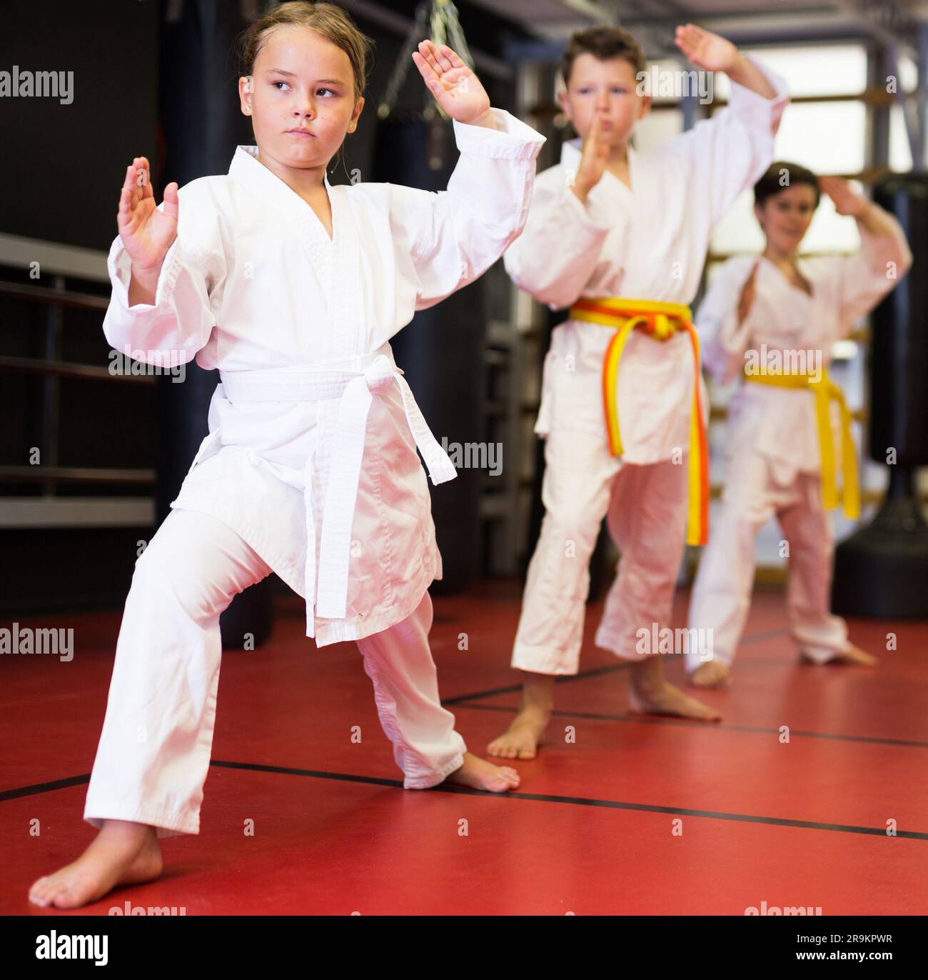 Girl practicing new moves during karate class Stock Photo - Alamy