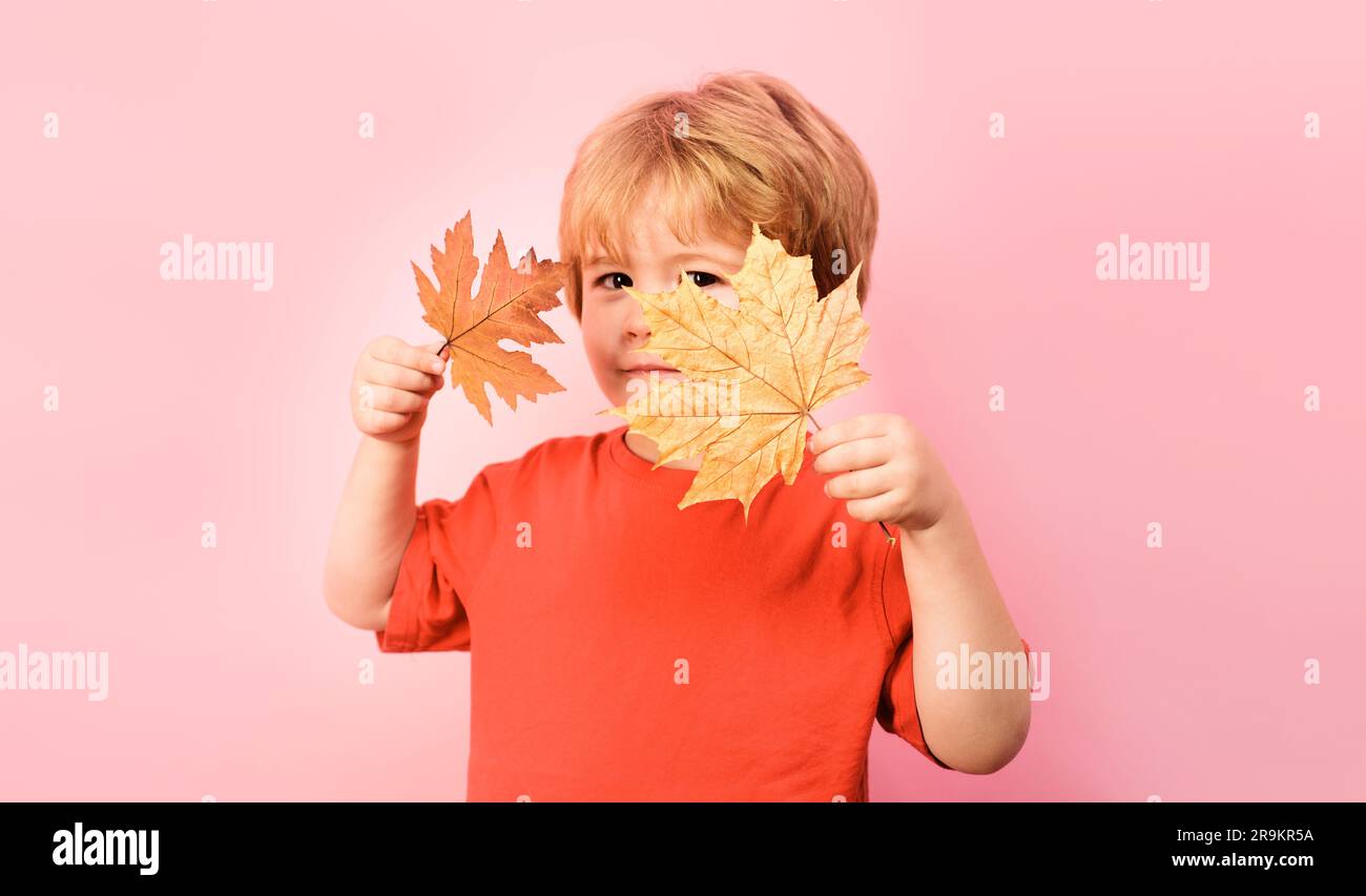 Autumn time. Little child boy with yellow leafs. Cute kid playing with ...