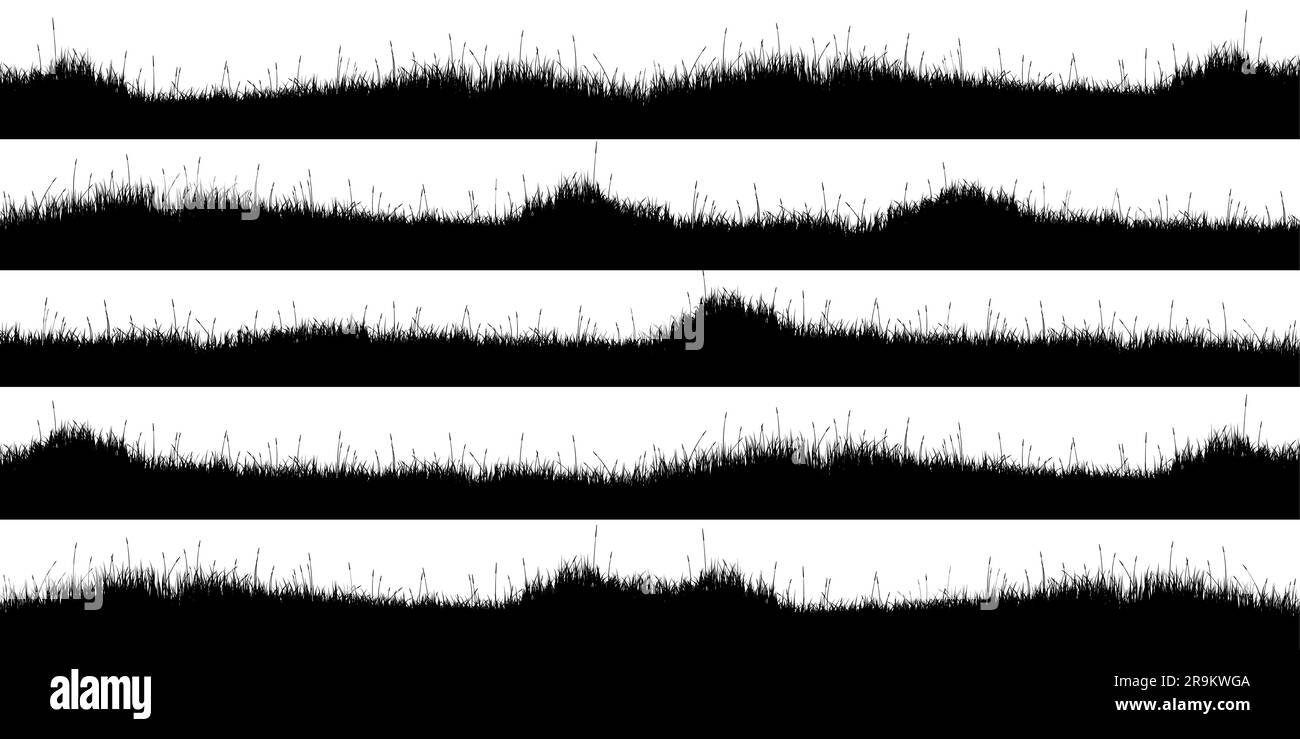 Meadow silhouettes with grass, plants on plain. Panoramic summer lawn ...