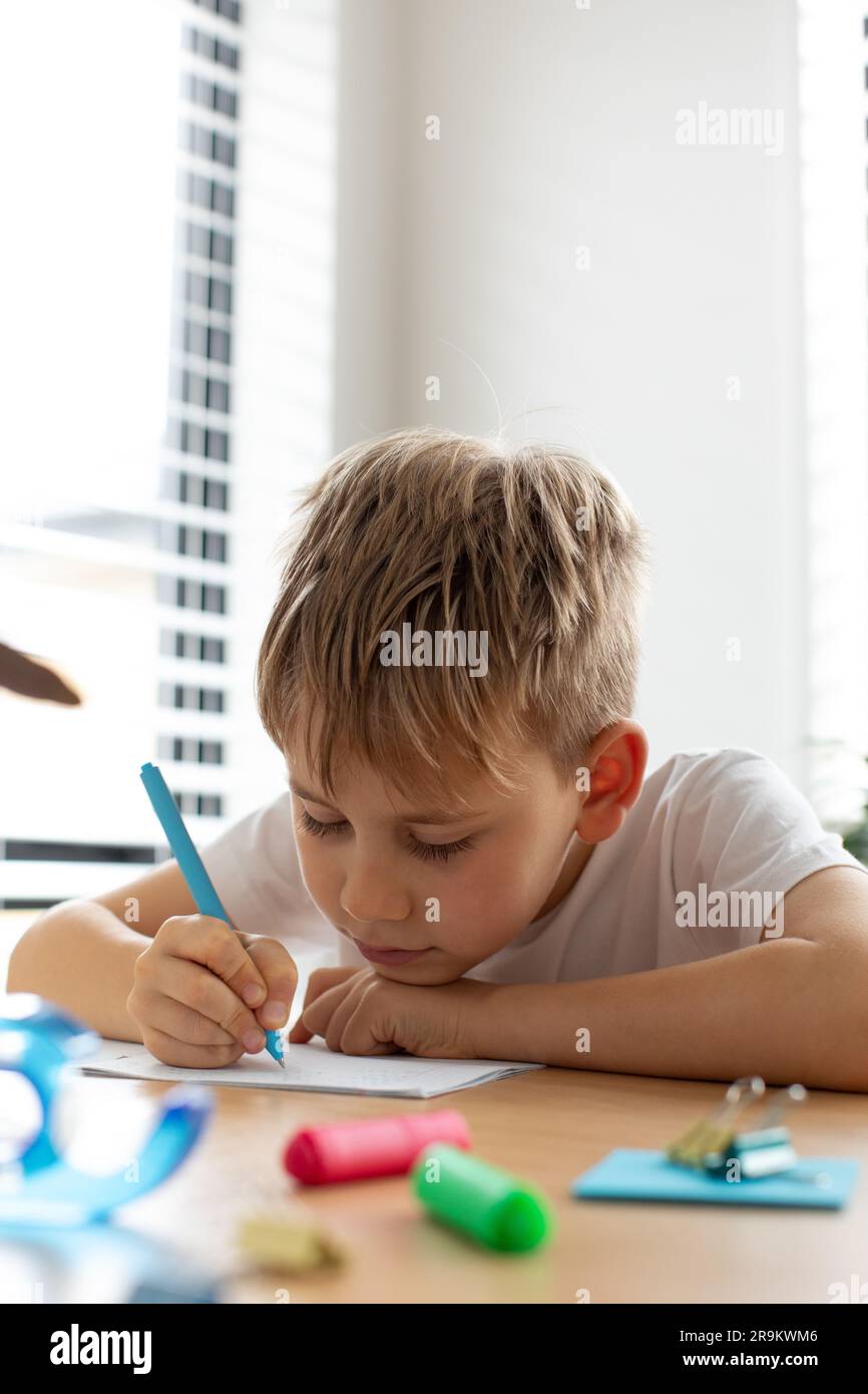 Cute boy doing school homework at home. Distance education. Online ...