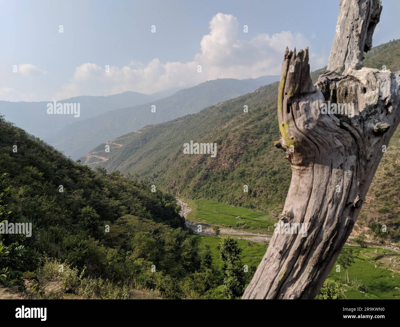 My birthplace hi-res stock photography and images - Alamy